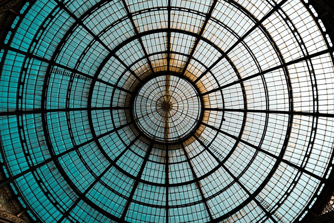 MALPENSA - MILANO Airport Transfer With Private Luxury Van - Accessibility Features and Participation