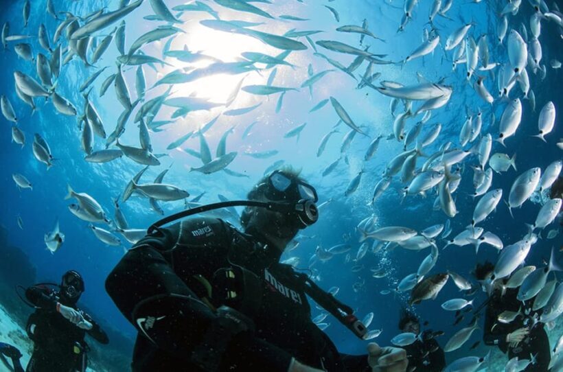 Malta: 1-Day PADI Scuba Diver Certification Beginner Course - Key Points
