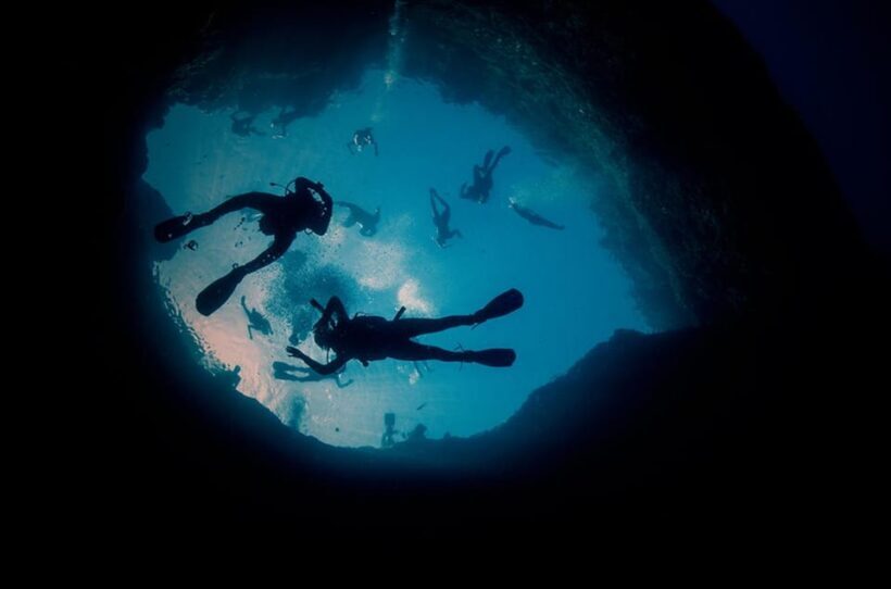 Malta: 1-Day PADI Scuba Diver Certification Beginner Course - The Sum Up