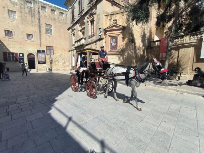 Malta: Ancient Wonders, Coastal Charms, and Cities Tour - Who Will Love This Tour?
