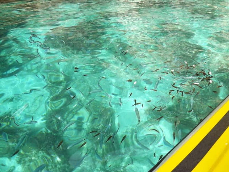 Malta: Blue Lagoon, Caves & around Comino Private Speedboat - FAQ