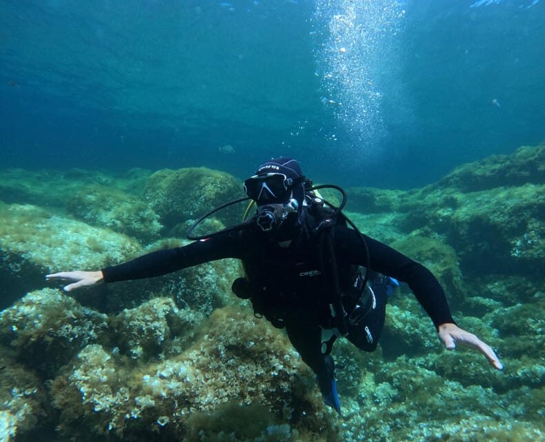 Malta: Discover Scuba Diving in crystal clear waters - Who Should Consider This Tour?