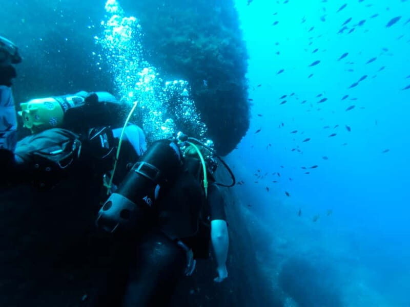 Malta: First Experience Scuba Diving Lesson - Key Points