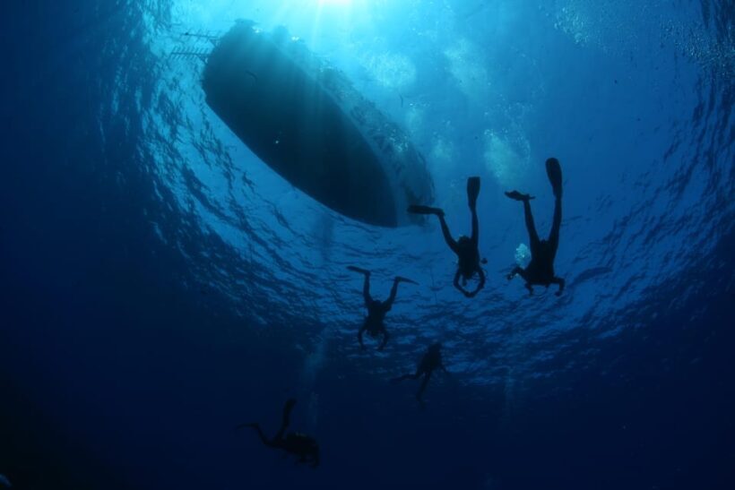 Malta: Guided Shore Dives in Malta for Certified Divers - Key Points