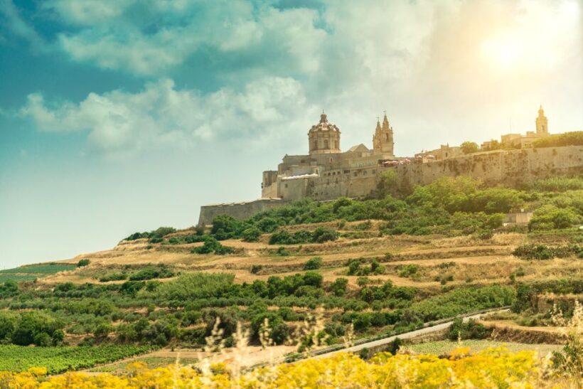 Malta: Highlights of Malta & Mdina Full Day Tour with Lunch - Review Highlights