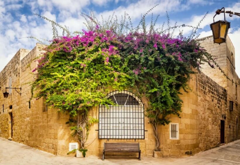 Malta: Mdina, Dingli Cliffs and San Anton Botanical Gardens - FAQ