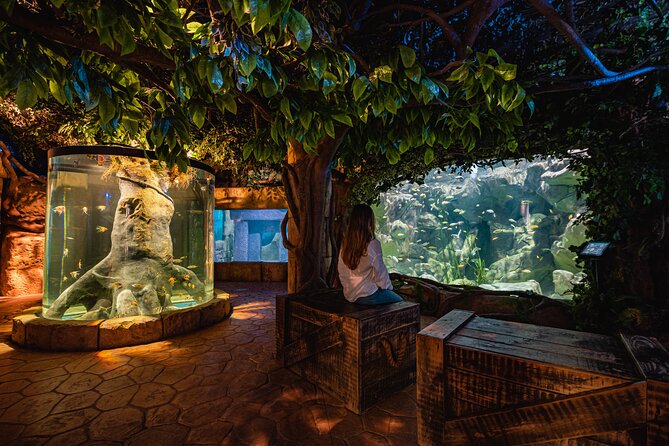 Malta National Aquarium Entrance Ticket - Exhibits and Features