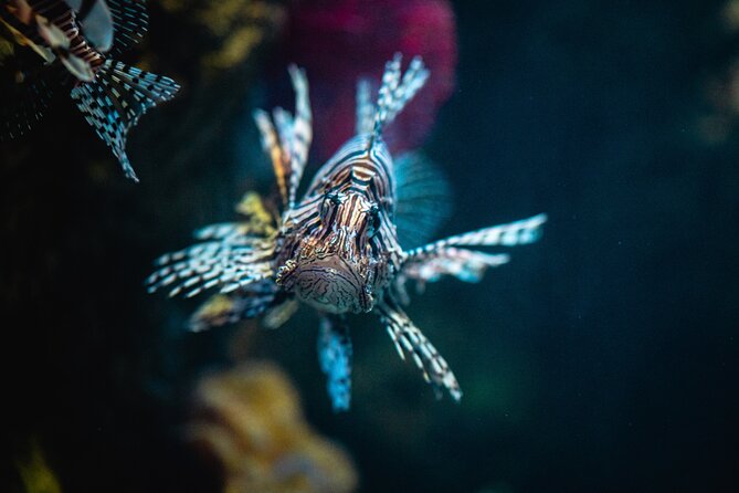 Malta National Aquarium Entrance Ticket - Visitor Experience