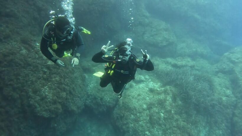 Malta: PADI Discover Scuba Diving Experience - An Interesting Introduction to the Underwater World