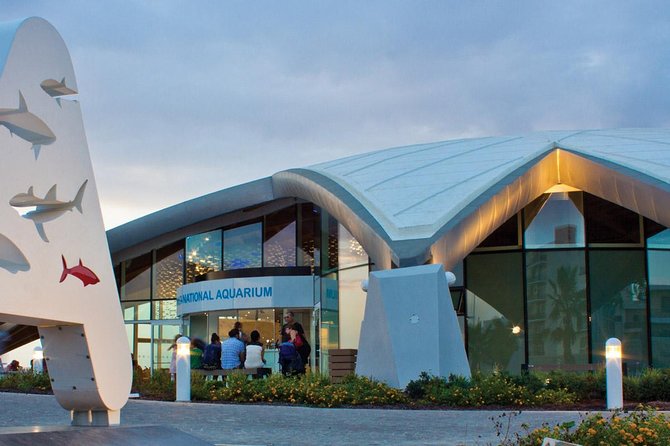 Malta Private Minivan Tour: Popeye Village/Mdina/Valletta & Many More - Highlighting Local Insights and Recommendations