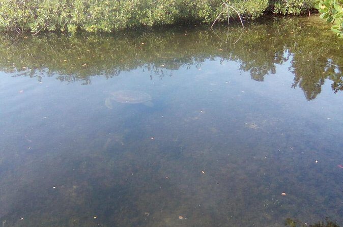 Mamma Gal East End Native Experience - Final Thoughts