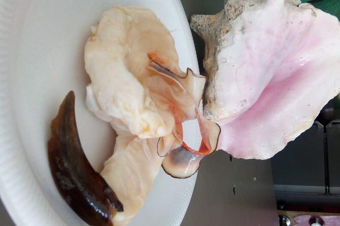 Mamma Gal Native Experience - A Detailed Look at the Mamma Gal Native Experience