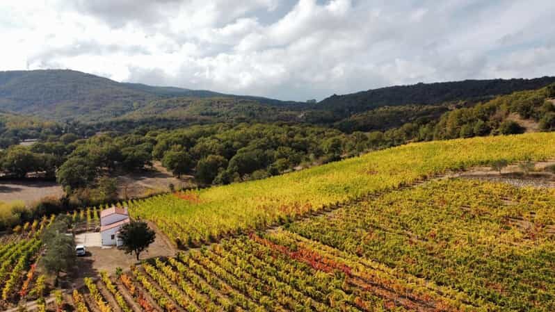 Mamoiada: visit a winery with wine tasting - Key Points