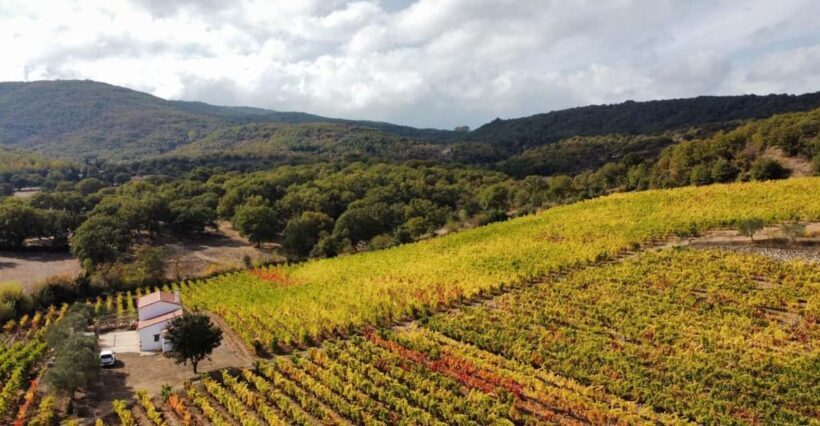 Mamoiada: visit a winery with wine tasting - Final Thoughts: How Does It Add Up?