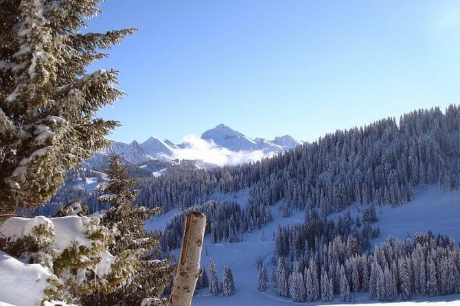 Manali Highlights Full Day Guided City Tour - FAQ