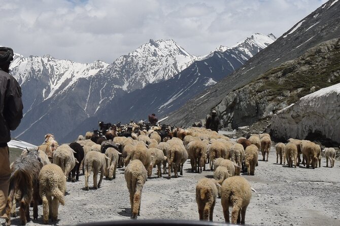 Manali Tour Package - Who Should Consider This Tour?