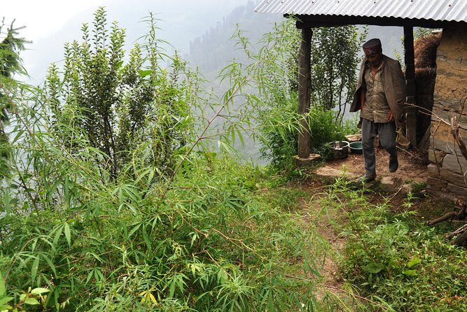 Manali Village Tour - Summary