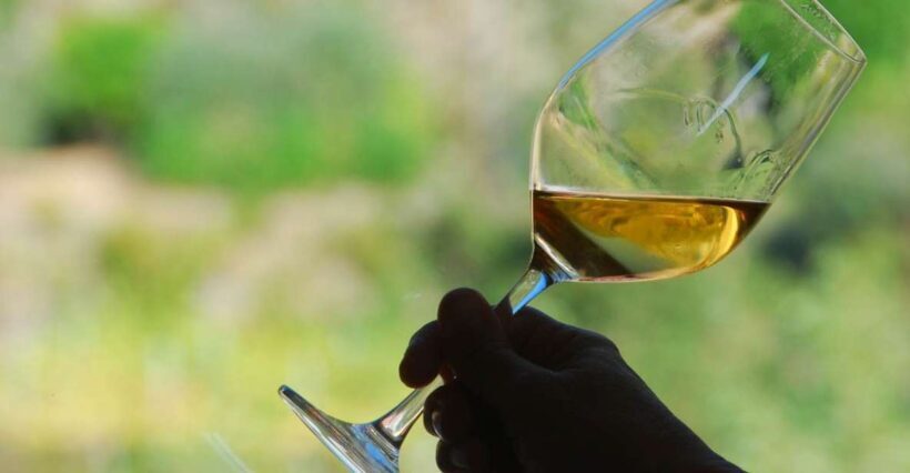 Manarola: Cinque Terre Wine Tasting - Key Points