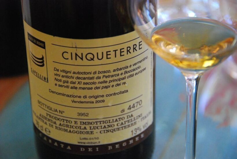 Manarola: Cinque Terre Wine Tasting - The Itinerary and Setting
