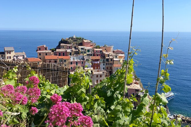 Manarola Wine Tasting Experience with Maria - Who Should Consider This Tour?