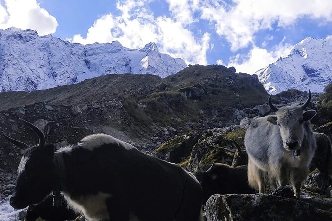 Manaslu Circuit Trek - An Authentic Himalayan Adventure