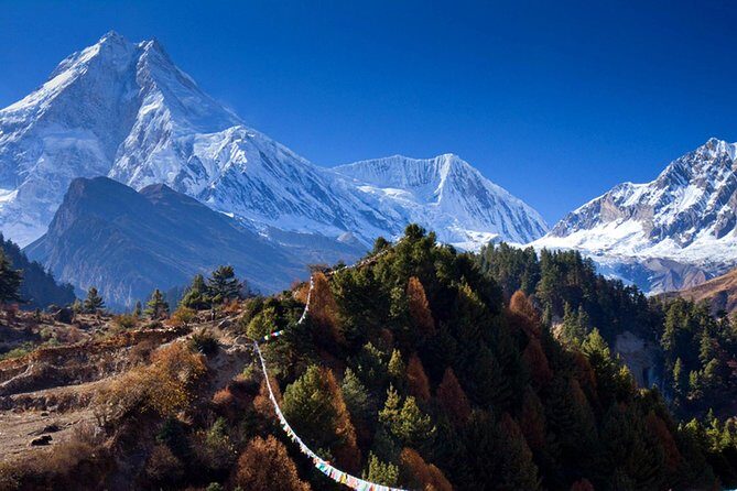 Manaslu Circuit Trek - 14 Days - The Crossing: Larkya La Pass and High-Altitude Challenges