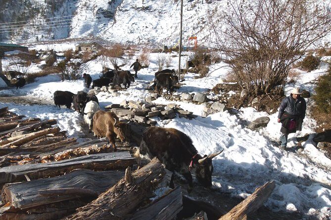 Manaslu Circuit Trek 17 Nights 18 Days - Final Thoughts