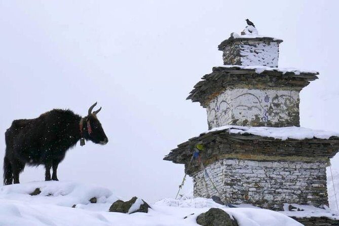 Manaslu Circuit Trekking - 17 Days - Food and Hydration: Nourishing Your Body on the Trail