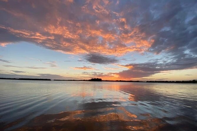 Manatee and Dolphin Kayak Tour - Who Will Love This Experience?