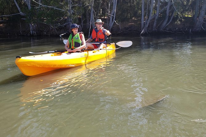 Manatee and Dolphin Kayaking | Wildlife Refuge (Titusville) - The Value of the Tour: What You’re Getting for Your Money