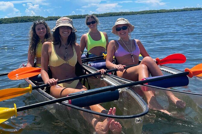 Manatee And Dolphin Tour - An In-Depth Look at the Tour