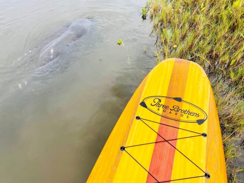 Manatee and Nature Tour of Ormond Beach - Key Points