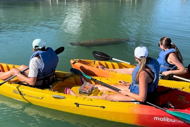 Manatee Discovery Anna Maria Island - Pricing and Reservation Details