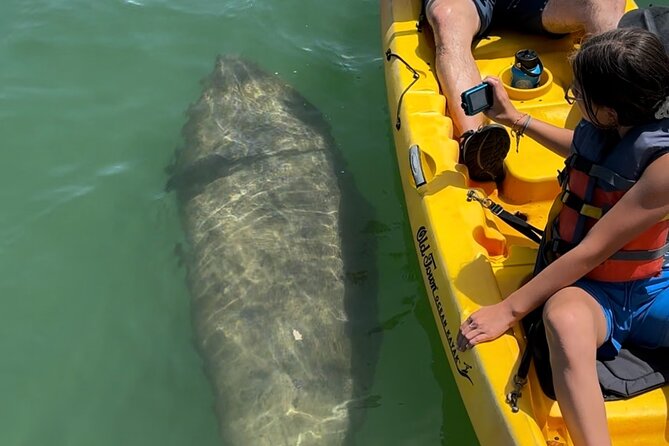 Manatee Discovery Anna Maria Island - Frequently Asked Questions