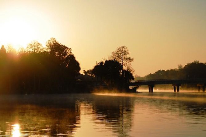 Manatee Snorkel Tour from American Pro Diving Center - Key Points