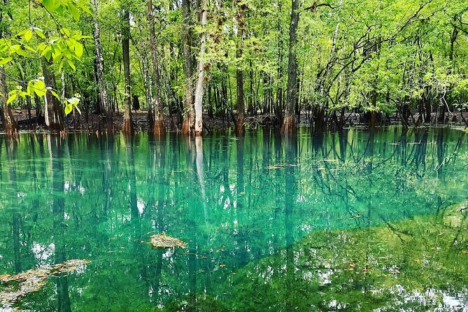 Manatee Springs Adventure Tour - Final Words