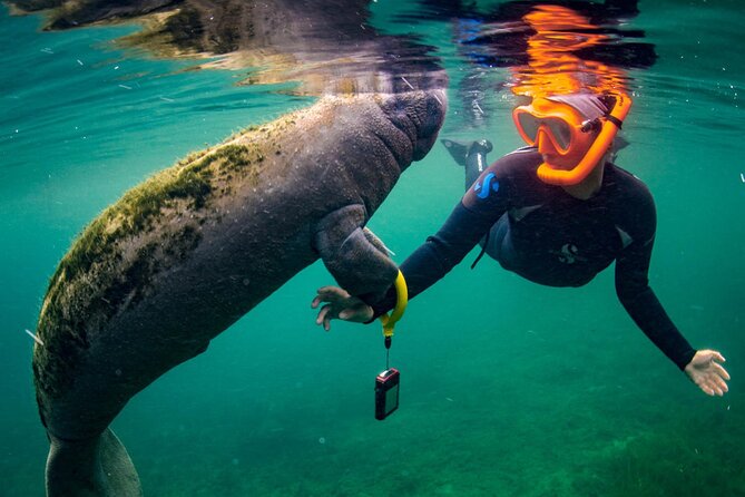 Manatee Swim and Wildlife Park With Upgrade Options From Orlando - Customer Reviews and Feedback