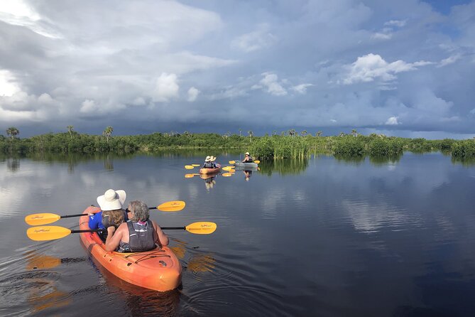 Manatees and Mangrove Tunnels Small Group Kayak Tour - The Sum Up