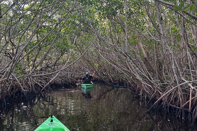 Manatees, Grasslands and Mangroves kayak Tour (Small Group Tour) - Booking and Cancellation