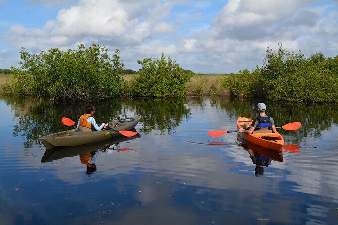 Manatees, Grasslands and Mangroves kayak Tour (Small Group Tour) - Who Will Love This Tour?