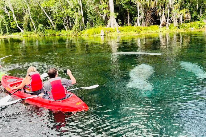 Manatees, Monkeys and Florida Natural Spring Adventure Tour - The Experience in Detail