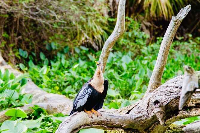 Manatees, Monkeys and Florida Natural Spring Adventure Tour - Final Thoughts