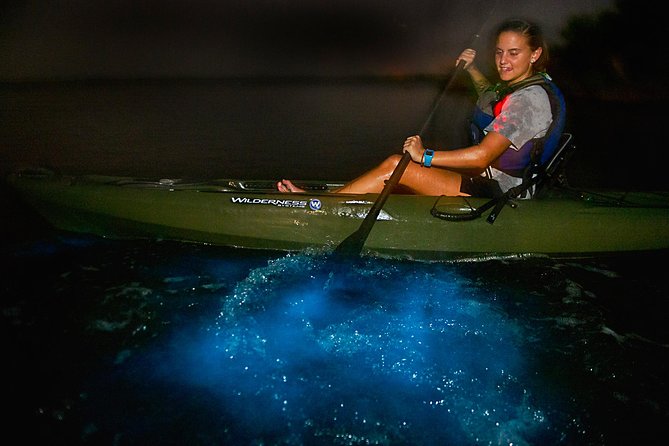 Manatees/Sunset/Bioluminescence Tour - Witnessing the Sunset