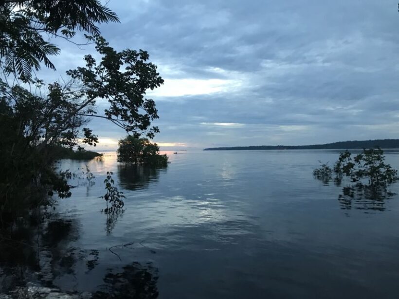 Manaus: 2-Day River Tour With Overnight Stay - An In-Depth Look at the Tour