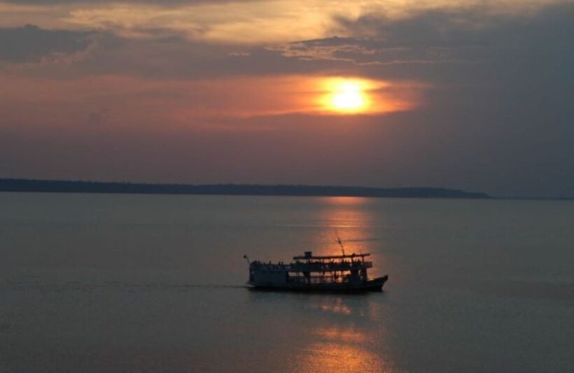 Manaus: Amazon Jungle Tour with Alligator Night Watch - The Experience in Comparison