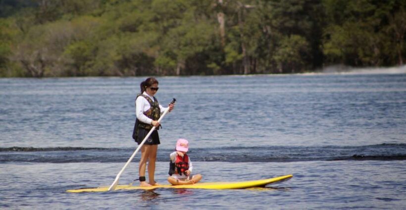 Manaus: Amazon River Stand-Up Paddle - The Amazon Basin: Why This Area Matters