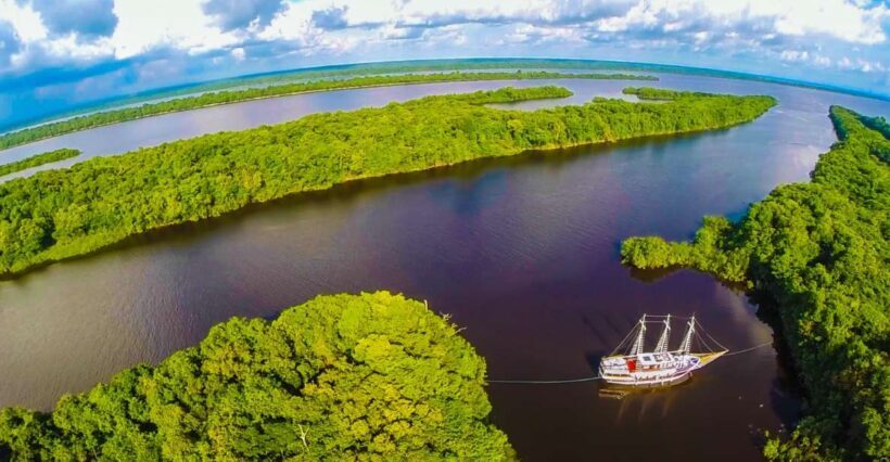 Manaus: Full-Day Tour on the Amazon River - A Deep Dive into the Amazon Full-Day Tour