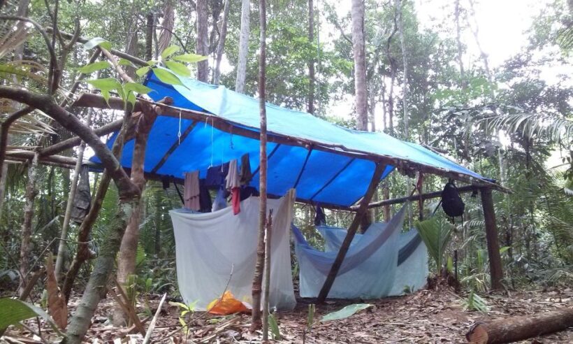 Manaus: Multi-Day Amazon Survival Trip with Camping - The Sum Up