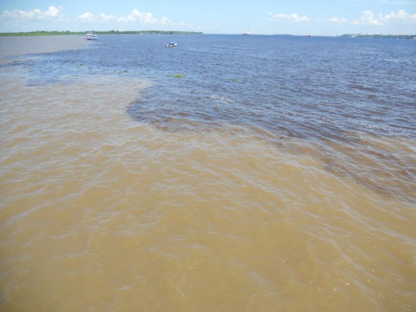 Manaus: Multi-Day Amazon Trip at Tapiri Floating Lodge - Exploring the Amazon with Joshuas Amazon Expeditions: An In-Depth Review