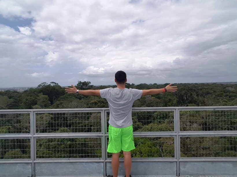 Manaus: MUSA and INPA Museums with Observation Tower Tour - Key Points